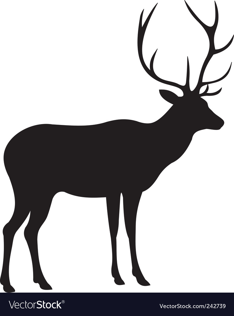 Deer Royalty Free Vector Image - VectorStock