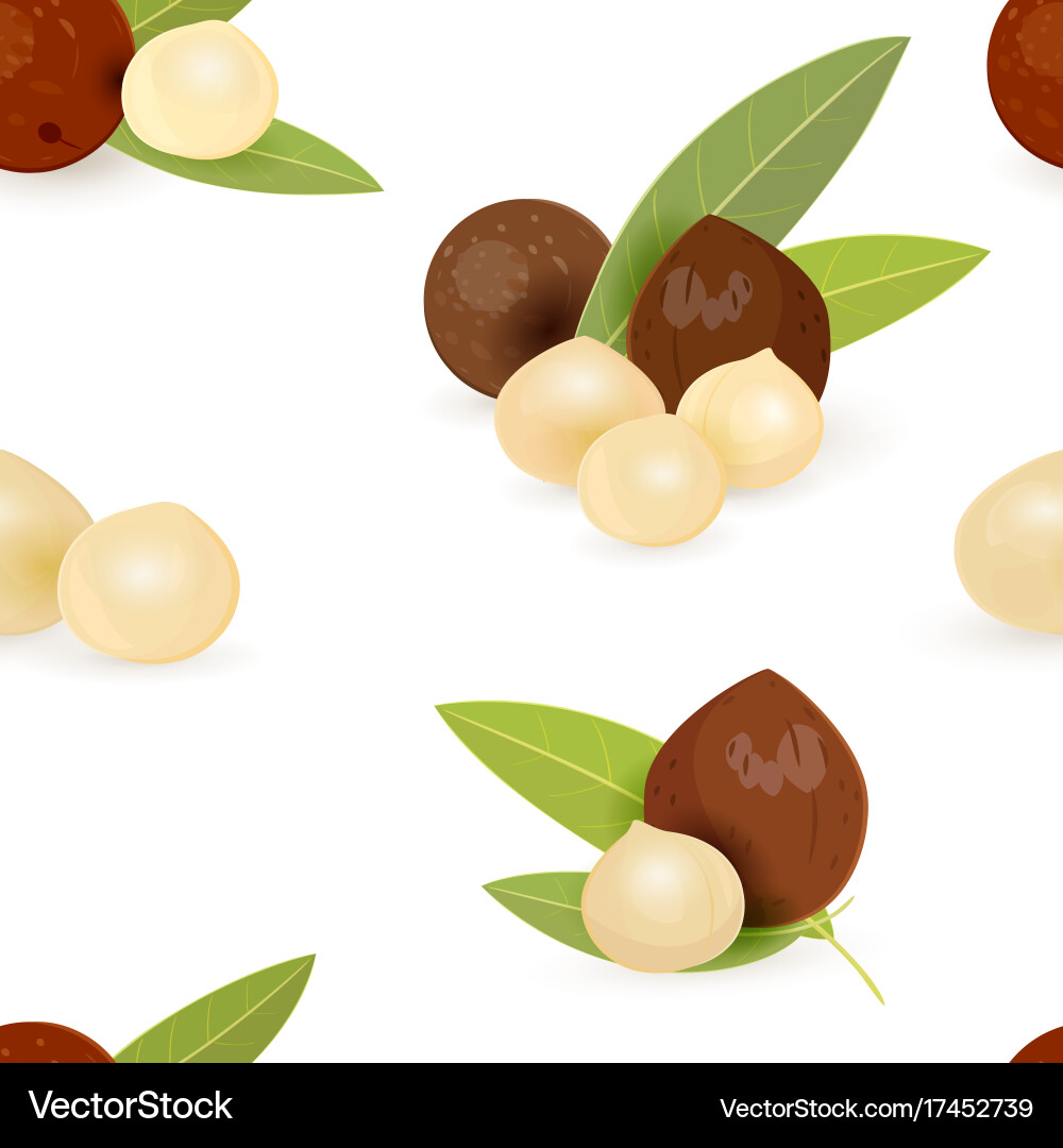 Seamless texture with groups macadamia Royalty Free Vector