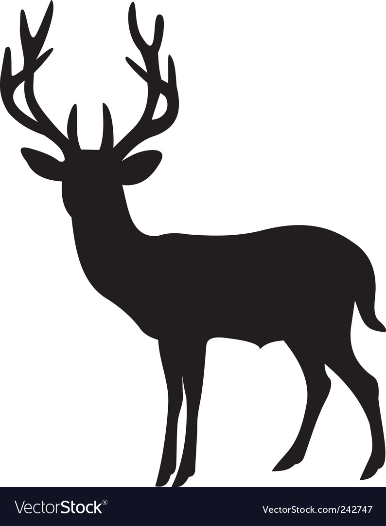 Deer Royalty Free Vector Image - VectorStock