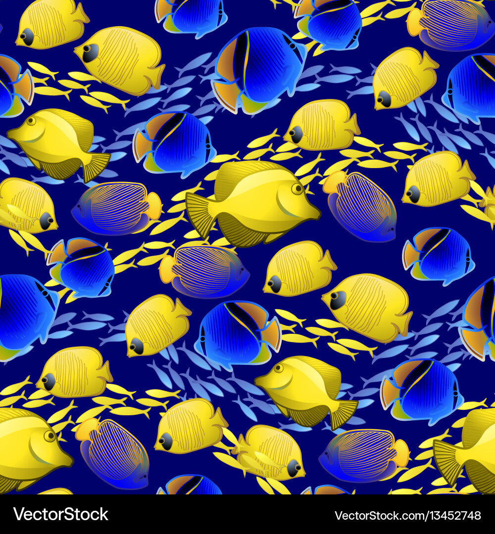 Graphic ocean fish pattern Royalty Free Vector Image