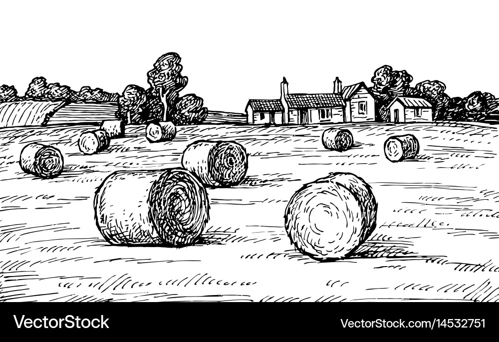 Field with haystacks Royalty Free Vector Image
