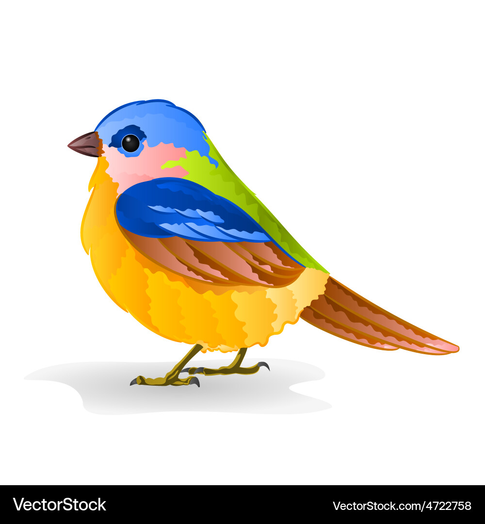 Small bird titmouse cute songbird Royalty Free Vector Image