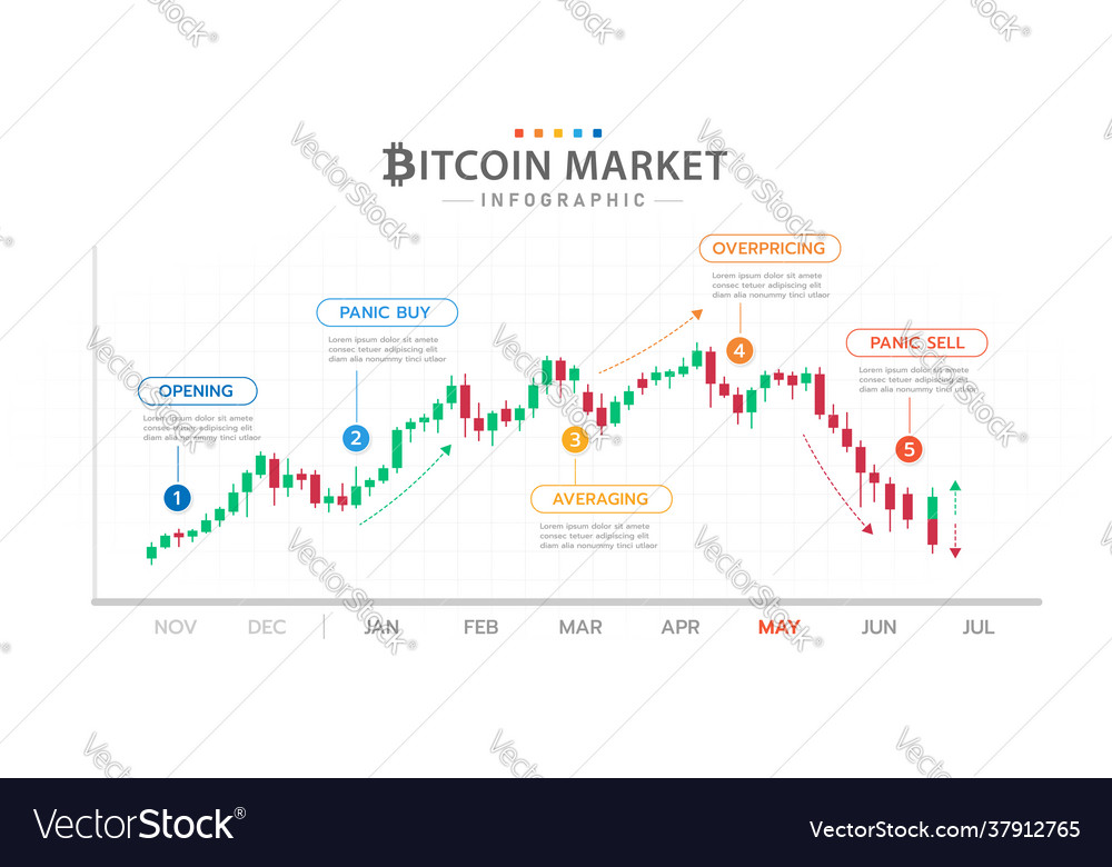 Infographic bitcoin diagram with market phases Vector Image Infographic bitcoin diagram with market phases Vector Image