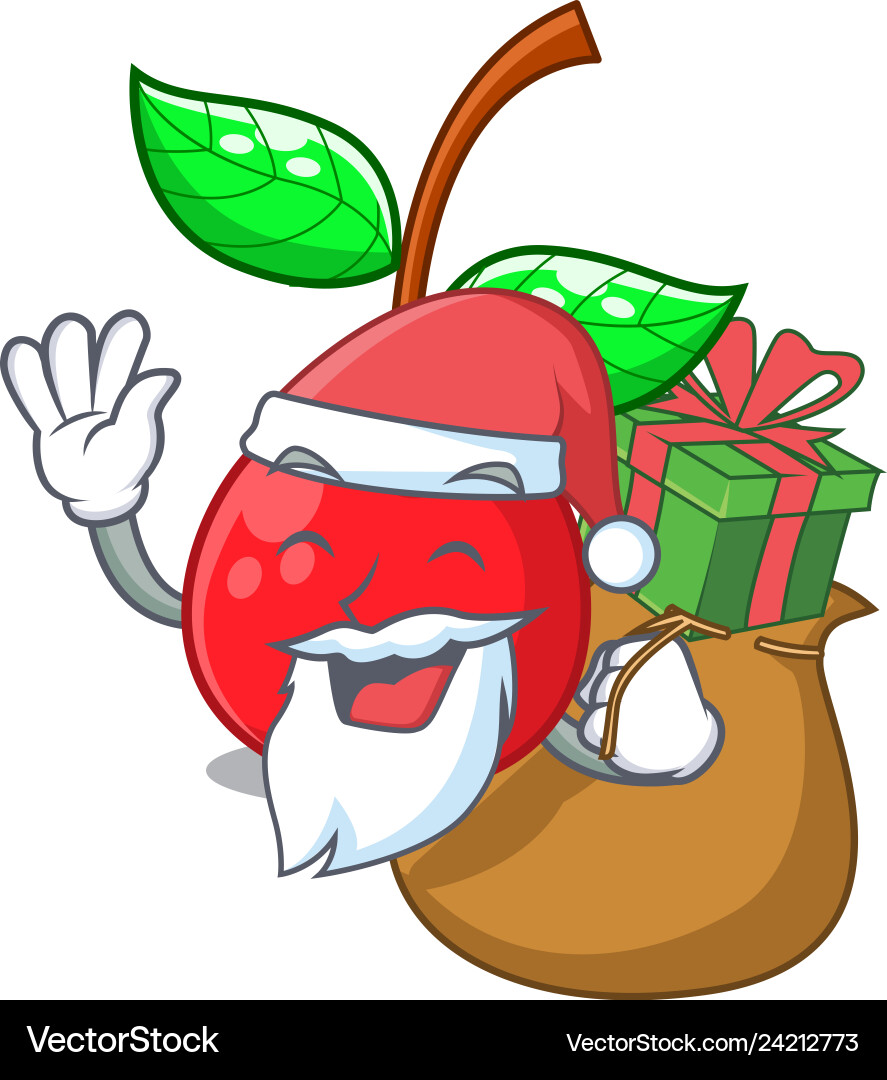 Santa with gift cherries fruit isolated Royalty Free Vector