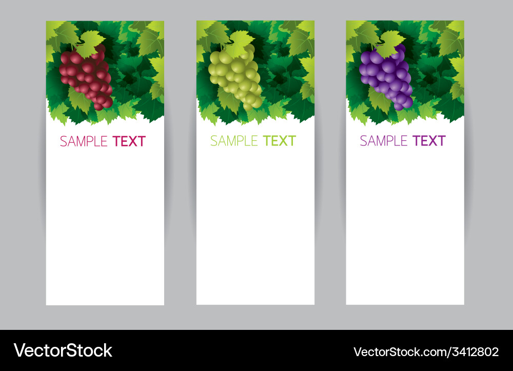 Grape Vine Banner Royalty Free Vector Image - VectorStock