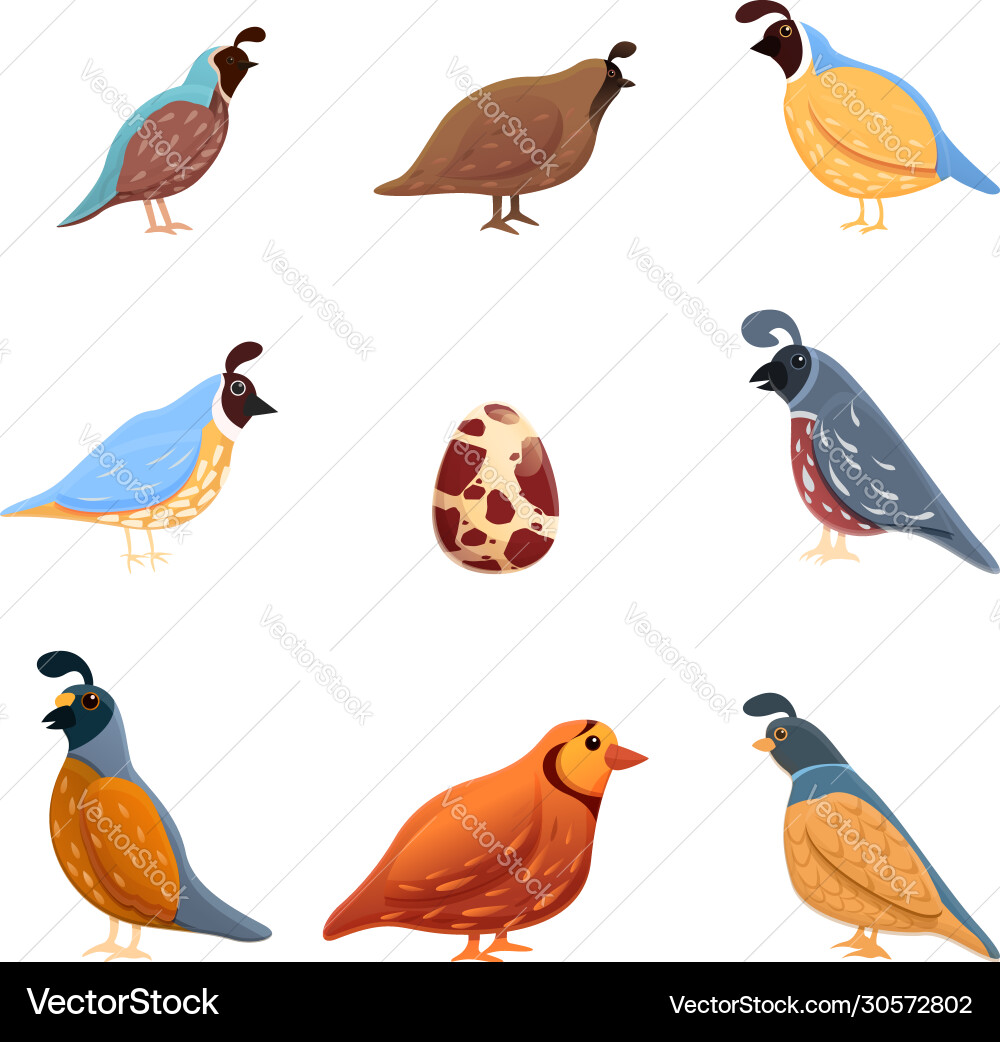 Quail icons set cartoon style Royalty Free Vector Image