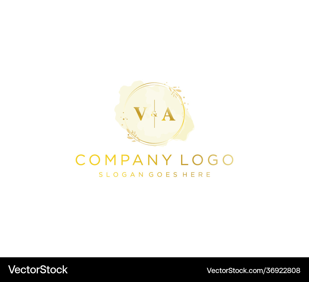 Initial va letters colorful watercolor splash Vector Image