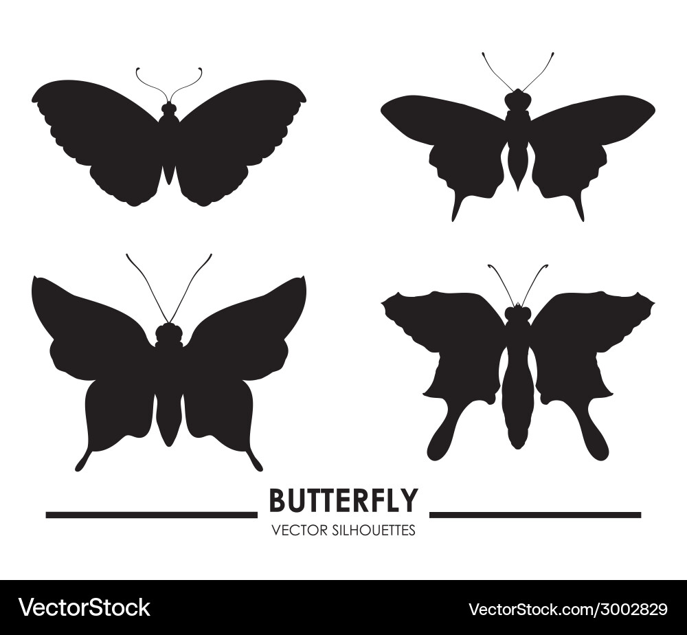 Butterfly design over white background Royalty Free Vector