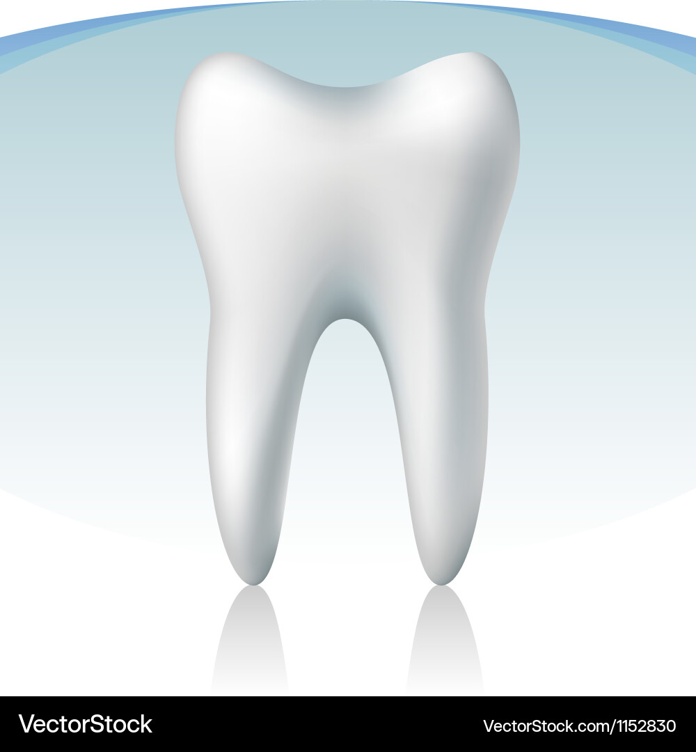 3d tooth Royalty Free Vector Image - VectorStock