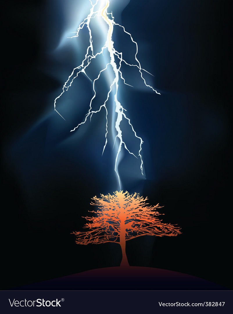 Lightning strikes tree Royalty Free Vector Image