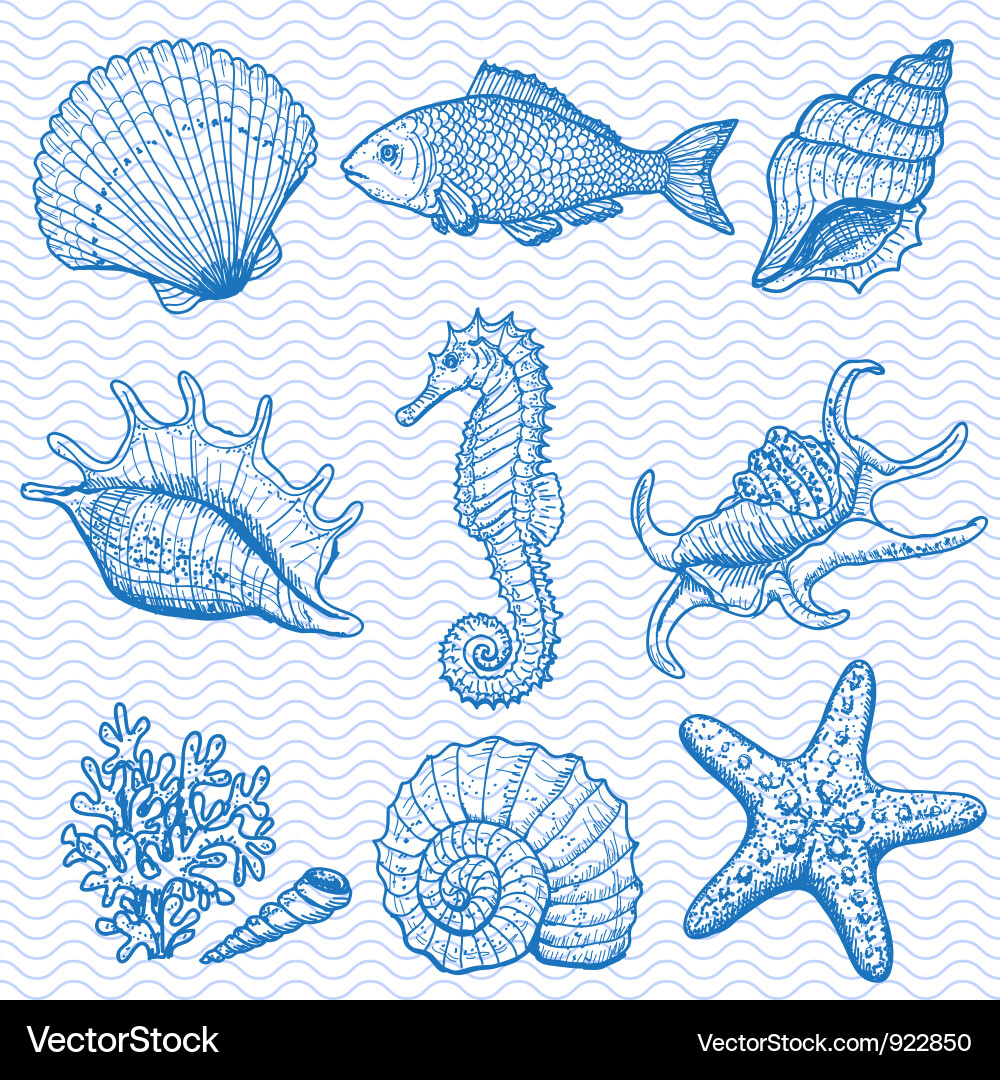 Sea hand drawn Royalty Free Vector Image - VectorStock