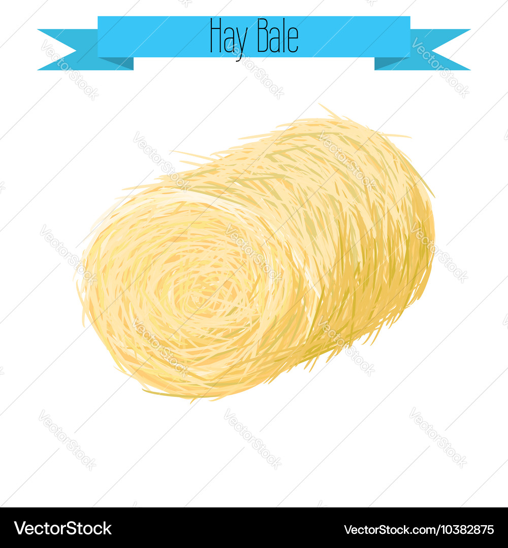 Hay bale on white Royalty Free Vector Image - VectorStock