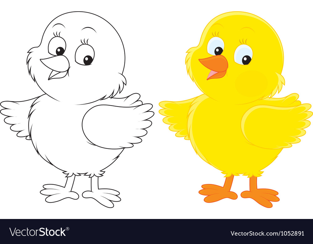 Chick Royalty Free Vector Image - VectorStock