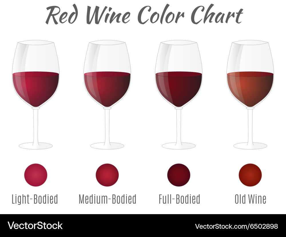 Red wine color chart Hand drawn wine glasses Vector Image
