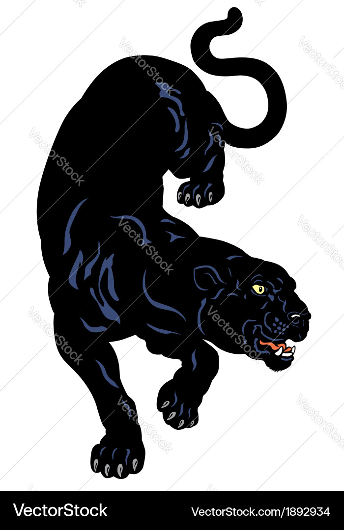Black panther Royalty Free Vector Image - VectorStock