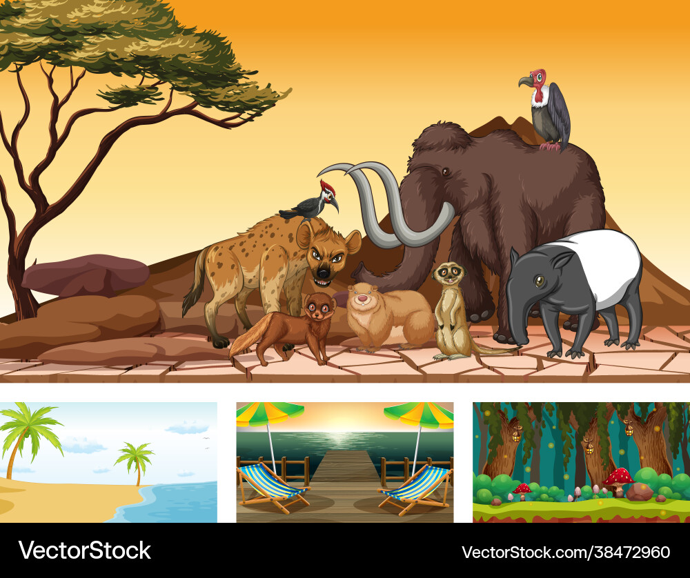 Four different nature horizontal scene Royalty Free Vector