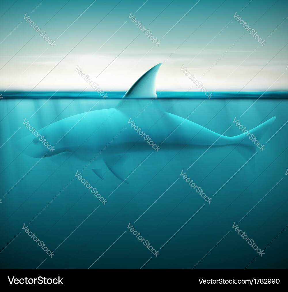 Shark in ocean Royalty Free Vector Image - VectorStock