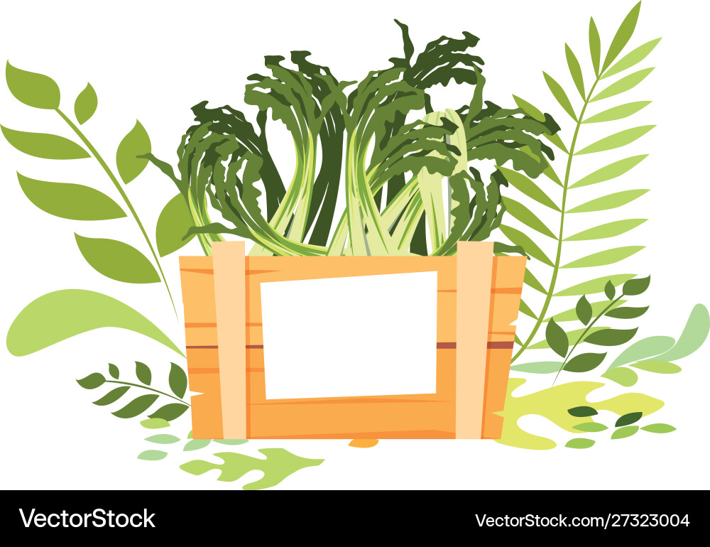 Isolated celery icon design Royalty Free Vector Image