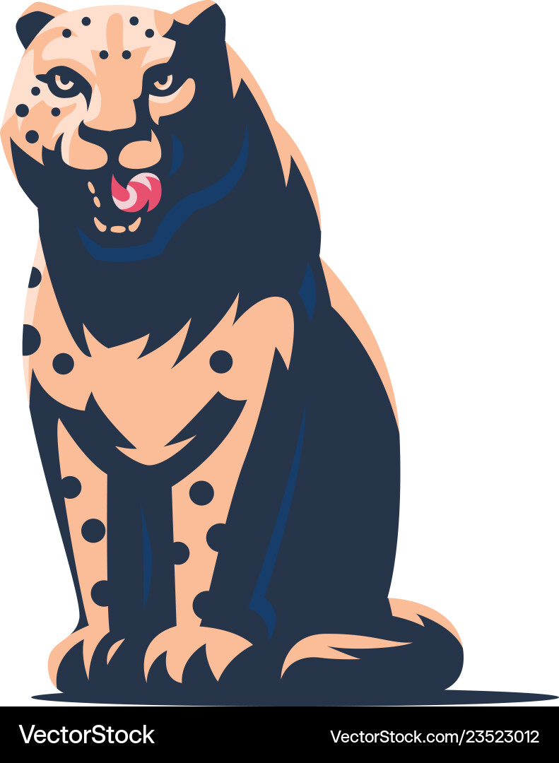 Snow leopard Royalty Free Vector Image - VectorStock