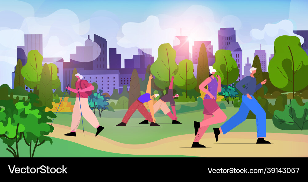 Senior people group doing physical exercises Vector Image