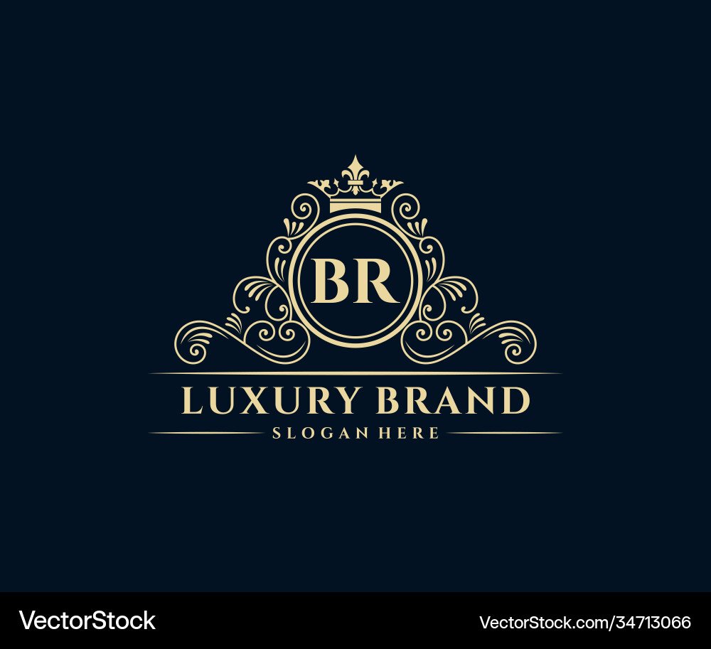 Br initial letter gold calligraphic feminine Vector Image
