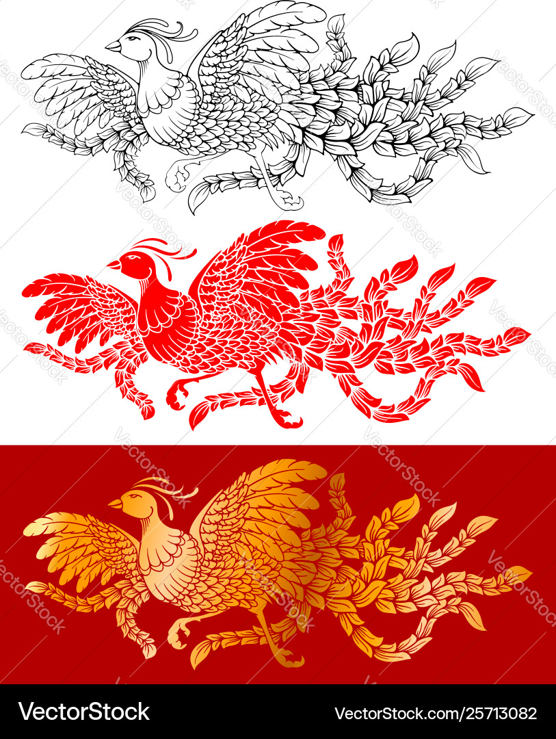 Chinese phoenix set Royalty Free Vector Image - VectorStock