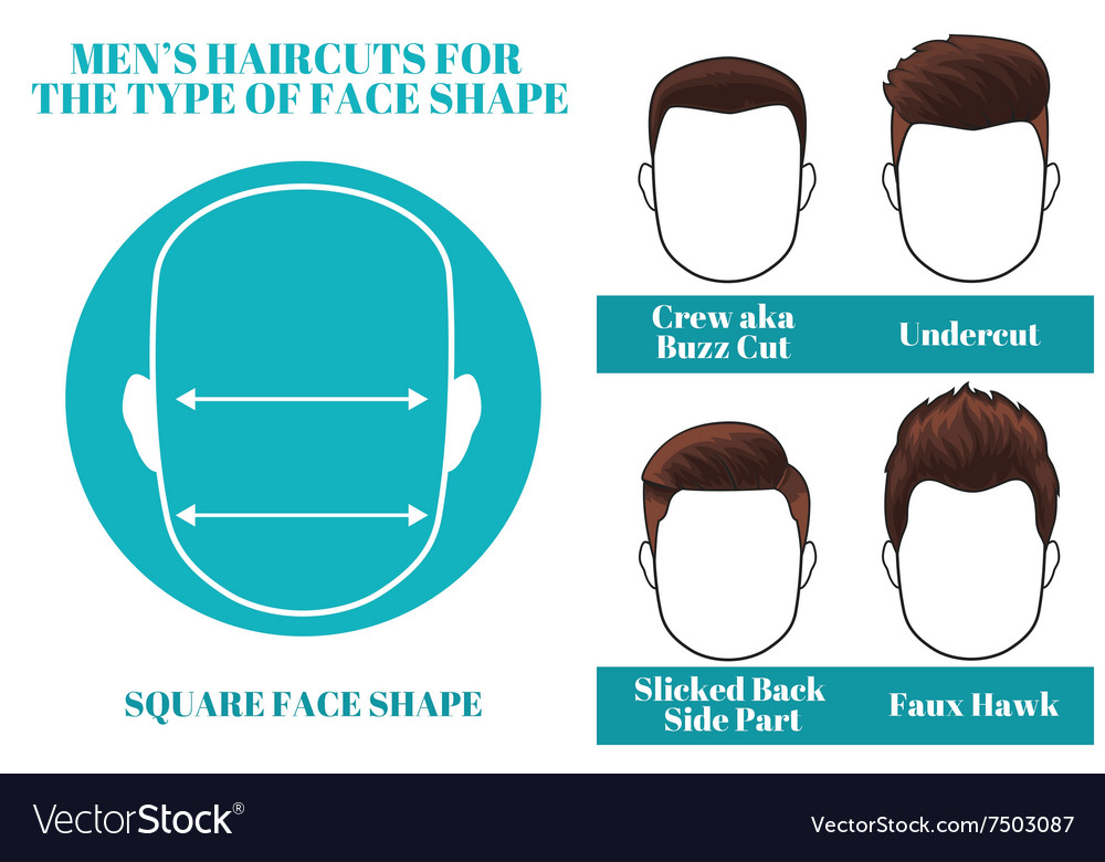 Square face shape Royalty Free Vector Image - VectorStock