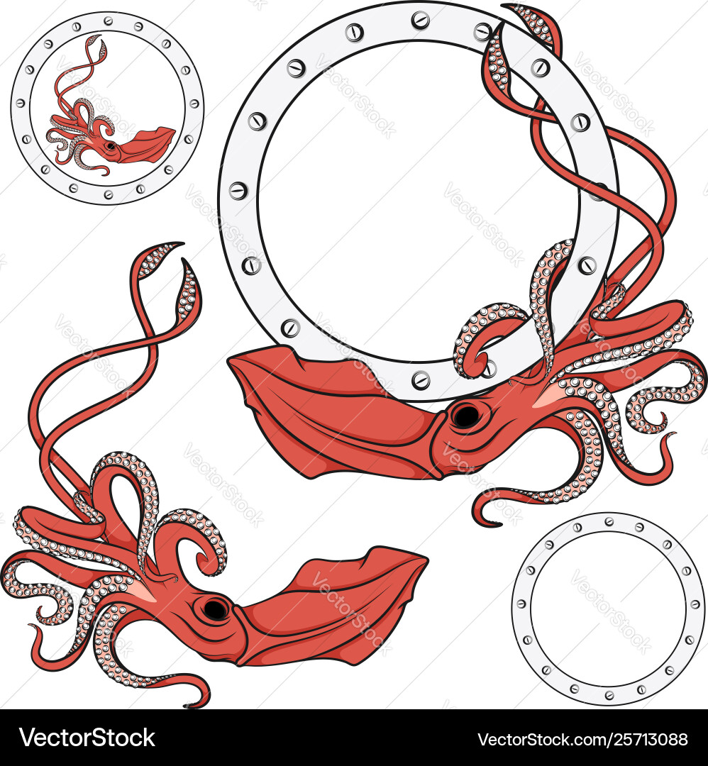 Color with image a red squid Royalty Free Vector Image