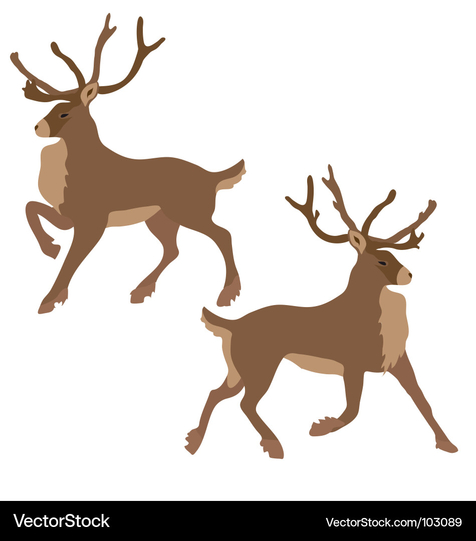 Reindeer Royalty Free Vector Image - VectorStock