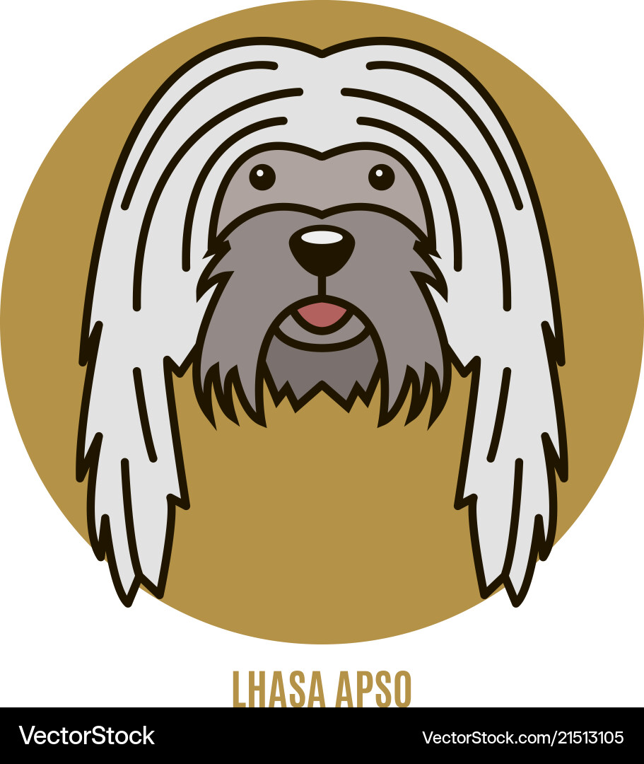 Portrait lhasa apso Royalty Free Vector Image - VectorStock