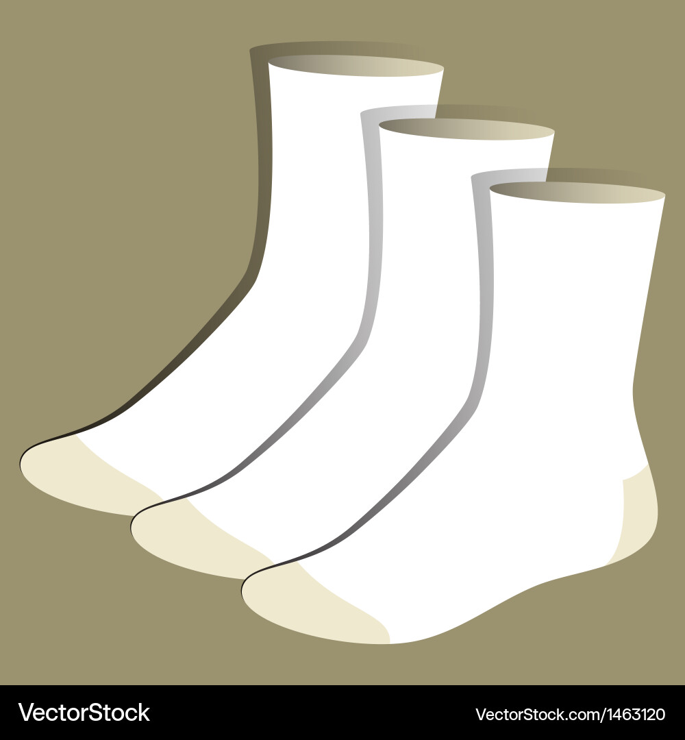 Socks template Royalty Free Vector Image - VectorStock