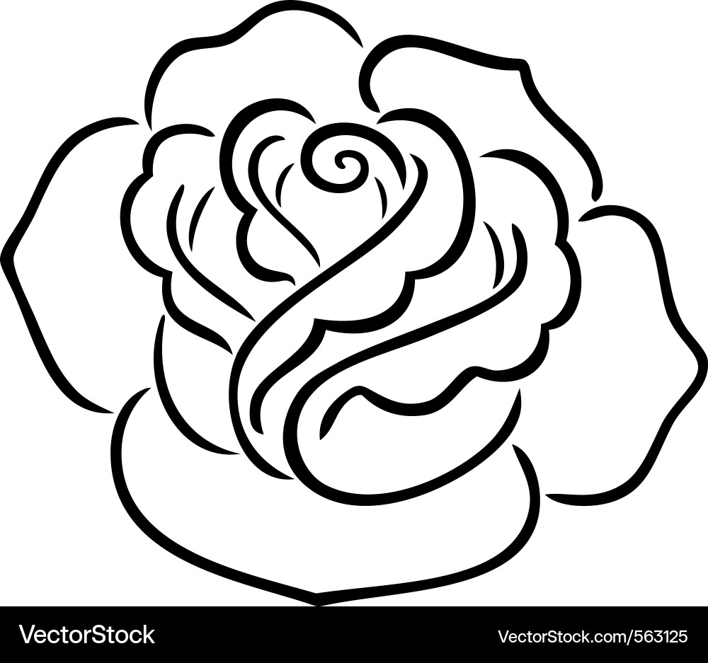 Rose contour Royalty Free Vector Image - VectorStock