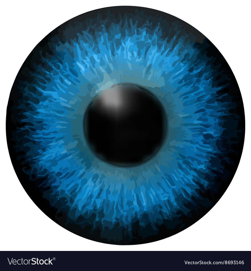 Eye iris texture Royalty Free Vector Image - VectorStock