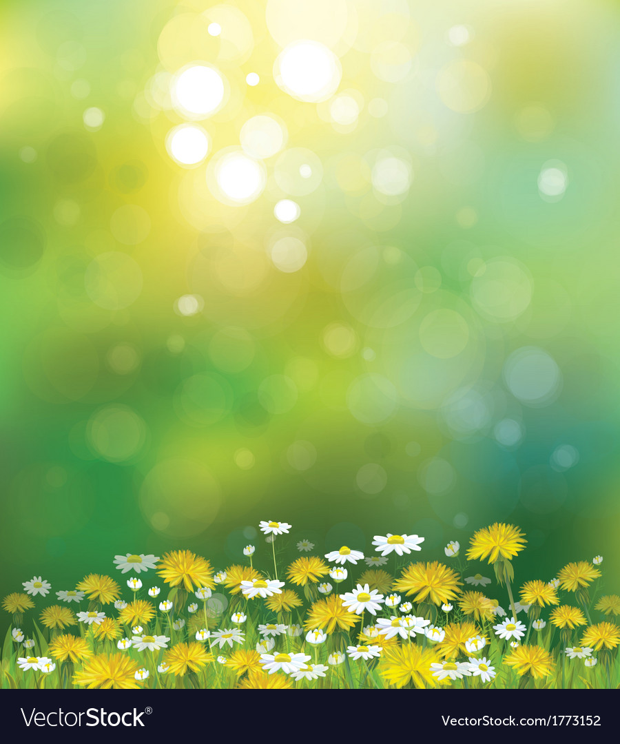 Spring flowers background Royalty Free Vector Image