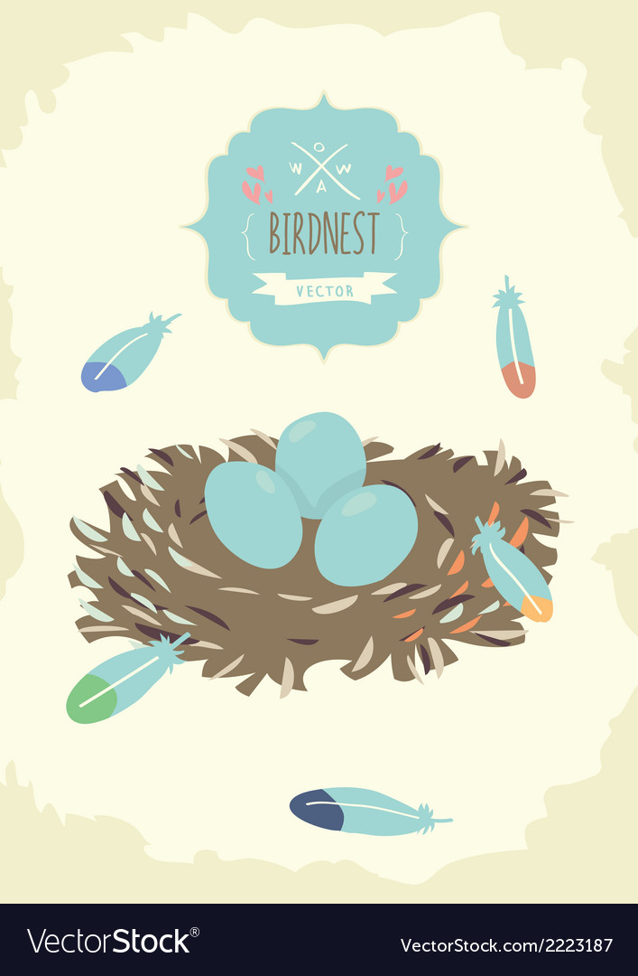 Bird Nest Design Royalty Free Vector Image - VectorStock