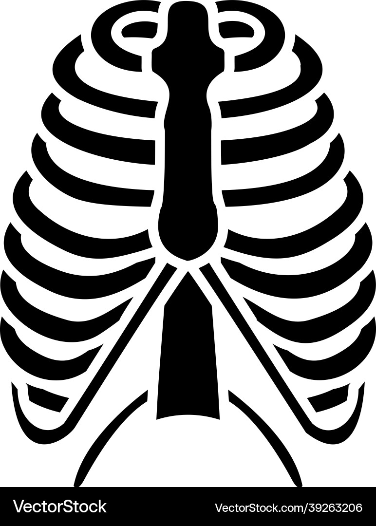 Rib cage Royalty Free Vector Image - VectorStock