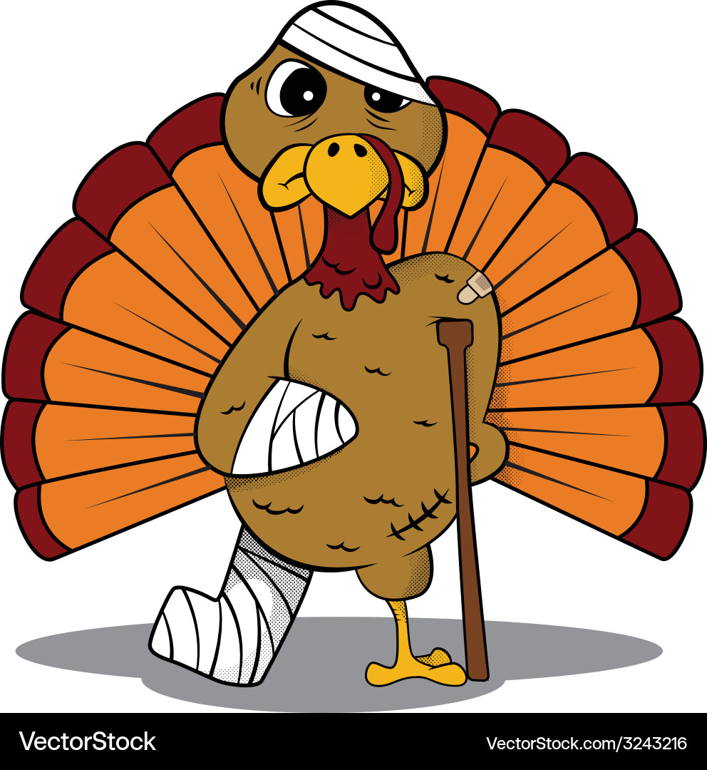 Injured Turkey Royalty Free Vector Image - VectorStock