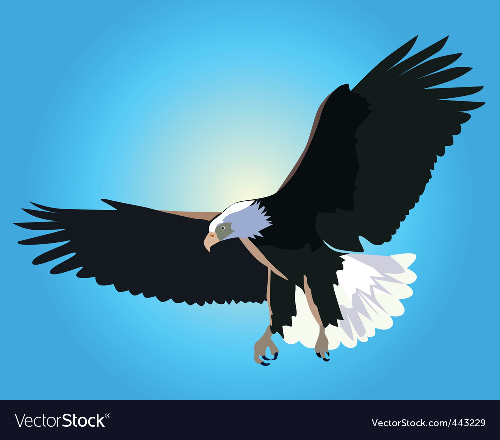 Eagle flying Royalty Free Vector Image - VectorStock