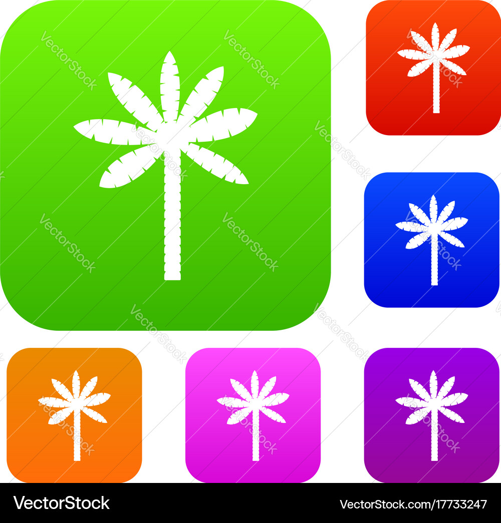 Palm tree set color collection Royalty Free Vector Image