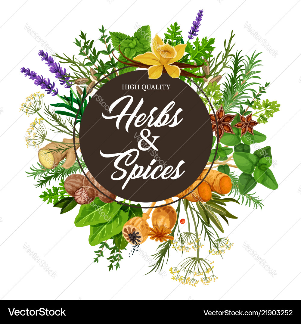 Herbs and spices with frame of plants Royalty Free Vector