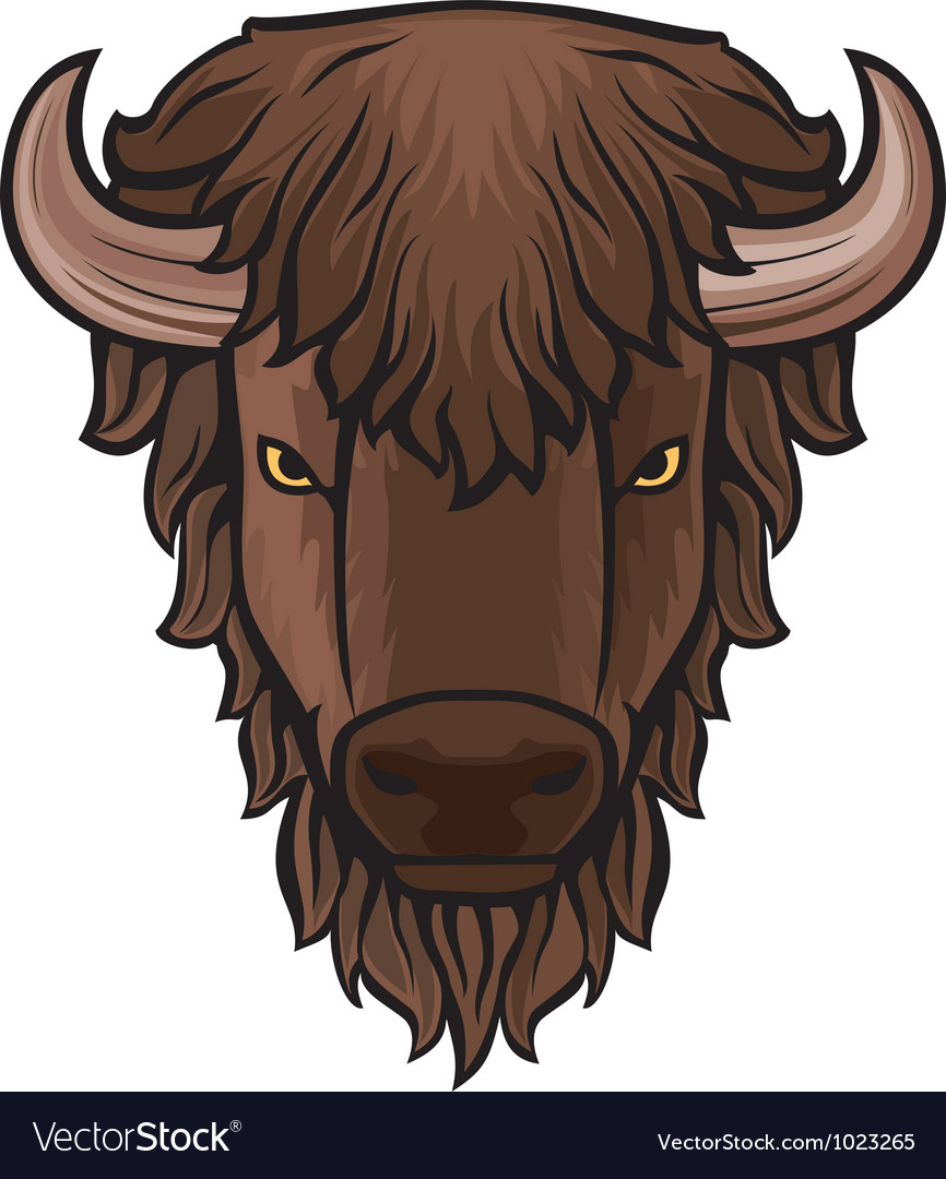 Buffalo head Royalty Free Vector Image - VectorStock