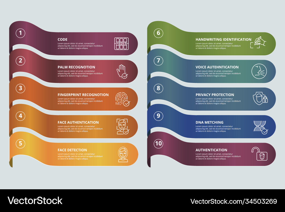 Infographic authentication template icons Vector Image