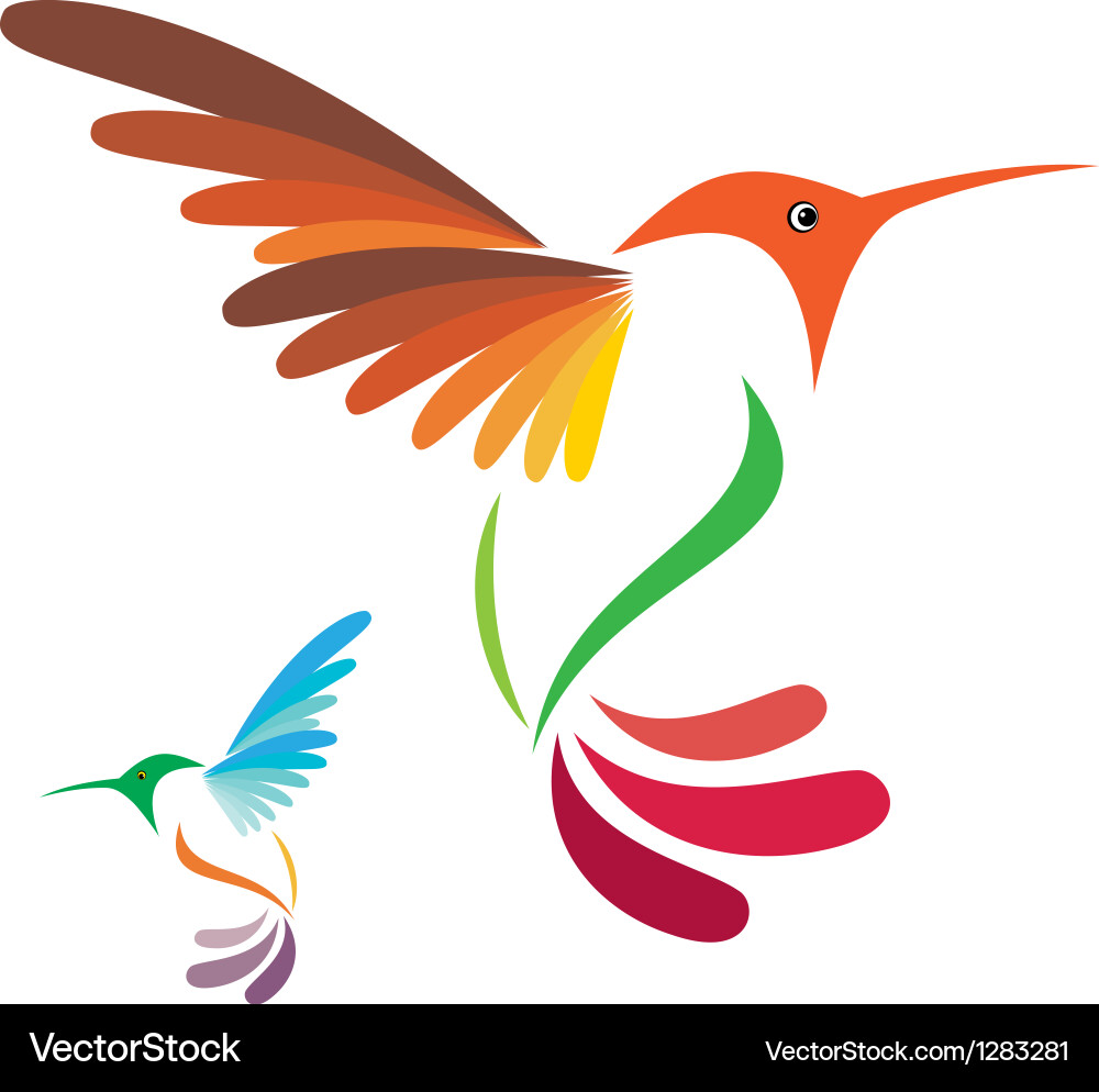 Hummingbird Royalty Free Vector Image - VectorStock