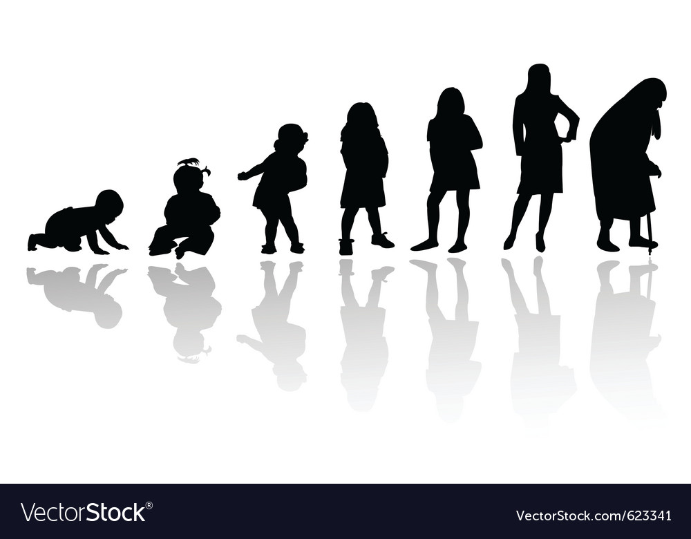 Age evolution silhouettes Royalty Free Vector Image