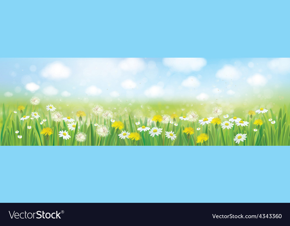 Spring field landscape Royalty Free Vector Image