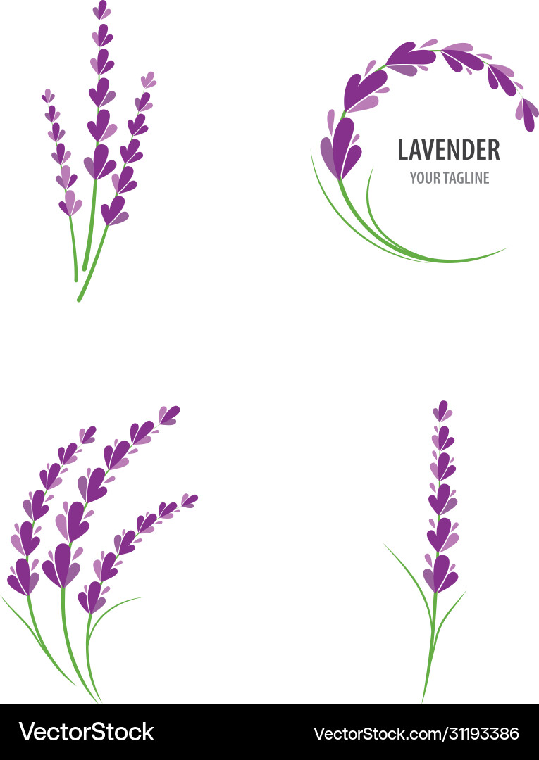 Lavender logo Royalty Free Vector Image - VectorStock