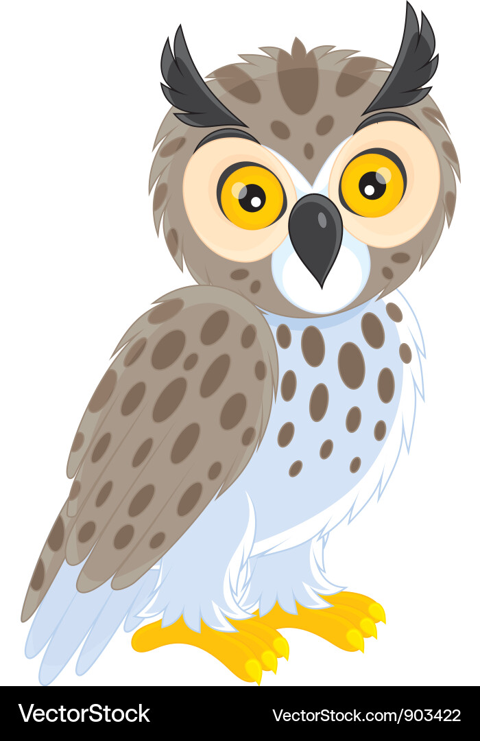 Owl Royalty Free Vector Image - VectorStock