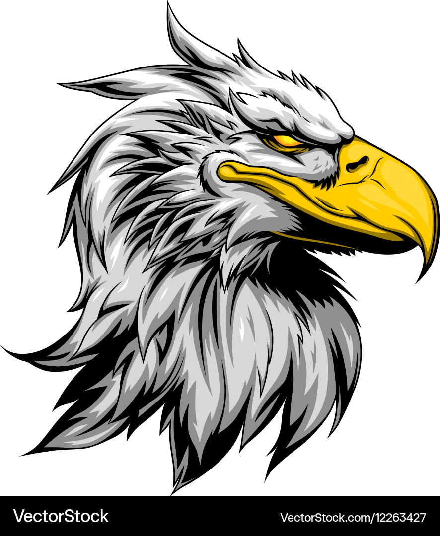 Angry eagle head Royalty Free Vector Image - VectorStock