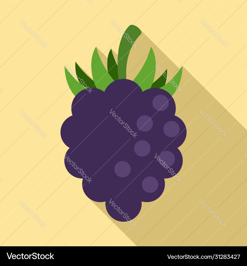 Sweet blackberry icon flat style Royalty Free Vector Image