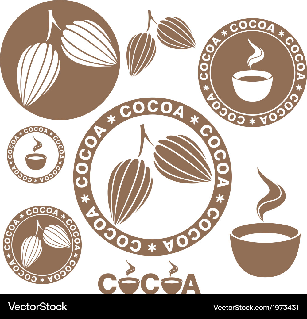 Cocoa Royalty Free Vector Image - VectorStock
